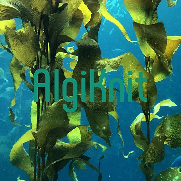 Textiles From Seaweed Moves a Step Closer as AlgiKnit Raises $13 ...